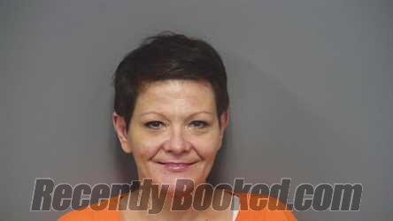 Recent Booking / Mugshot for SHANNON RENEE RISLEY in Hendricks County ...