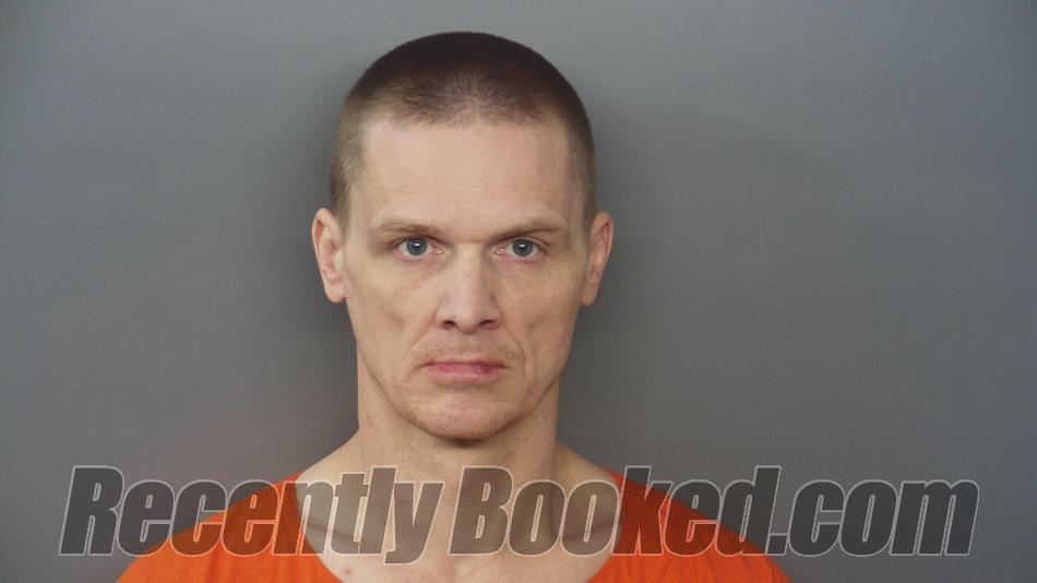 Recent Booking / Mugshot for SHANE ANTHONY TYREE in Hendricks County ...