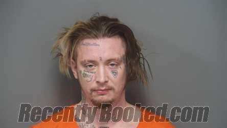 Recent Booking / Mugshot for TONEE TONI MULLINAX in Hendricks County ...