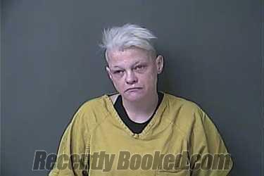 Recent Booking / Mugshot for KELLI J COTTRELL in Howard County, Indiana