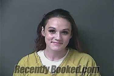 Recent Booking / Mugshot for JADE NOELLE RAWLINS in Howard County, Indiana