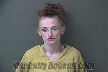 Recent Booking / Mugshot for STEPHANIE LYNN TROYER in Howard County ...