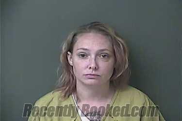 Erica Dawn Hill Arrest & Booking Info | Howard County, IN