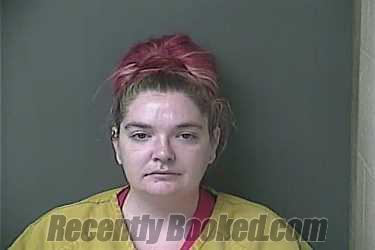 Recent Booking / Mugshot for COURTNEY GAYLE LAWSON in Howard County ...