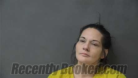 Recent Booking / Mugshot for SARAH ELIZABETH CULP in Howard County, Indiana