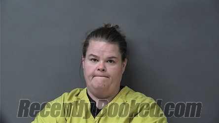 Recent Booking / Mugshot for DANIELLE RENEE WALLACE in Howard County, Indiana