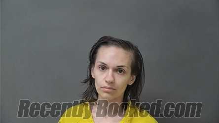 Recent Booking / Mugshot for ALLISON BREANNE SMITH in Howard County ...