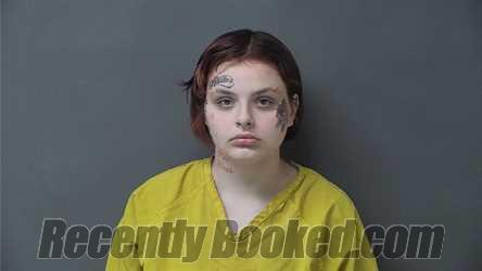 Recent Booking / Mugshot for DARCY ANNE ELLIOTT in Howard County, Indiana