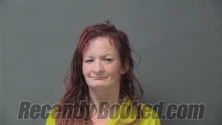 Recent Booking / Mugshot for HEATHER MARIE TAYLOR in Howard County, Indiana