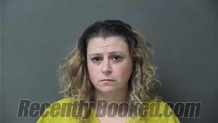 Megan Ann Egle Mugshot & Arrest Info | Howard County, IN