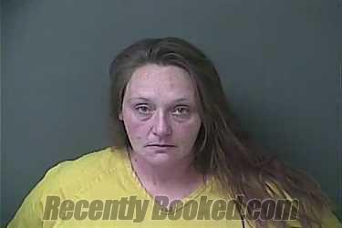 Recent Booking / Mugshot for HEATHER NICHOLE BRAY in Howard County, Indiana