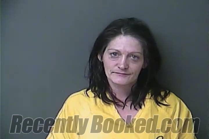 Recent Booking / Mugshot for HEATHER MARIE SHOOK in Howard County, Indiana