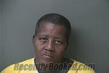 Recent Booking / Mugshot for VIVIAN DIANE CHEW in Howard County, Indiana