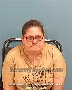 Recent Booking / Mugshot for JULIA ELIZABETH CLEM in Huntington County ...