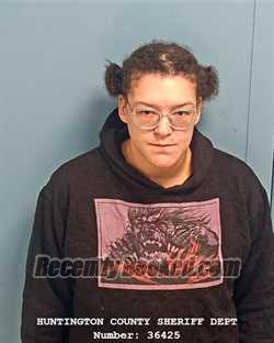Recent Booking / Mugshot for LISA LOUISE ADKINS in Huntington County ...