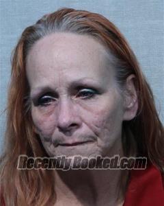 Recent Booking / Mugshot for Shaela D Cook in Jackson County, Indiana