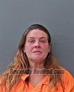 Recent Booking / Mugshot for SANDRA MARIE RAY in Jasper County, Indiana