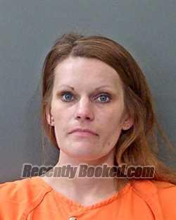 Recent Booking / Mugshot for JULIE ANN DOWHEN in Jasper County, Indiana