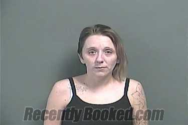 Recent Booking / Mugshot for DANIELLE PAIGE YARBER in Knox County, Indiana