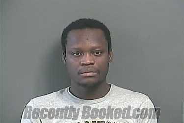 Recent Booking / Mugshot for JOLANCE FLEUREME in Knox County, Indiana
