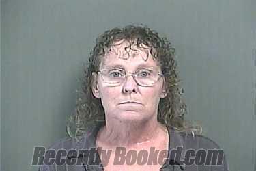 Recent Booking / Mugshot for TERRIE A. GAVIN in Knox County, Indiana