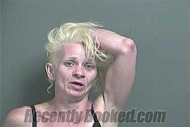 Recent Booking / Mugshot for HEATHER JOANN HARRINGTON in Knox County ...