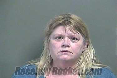 Recent Booking / Mugshot for CLINELLA JOYCE ESTABROOK in Knox County ...