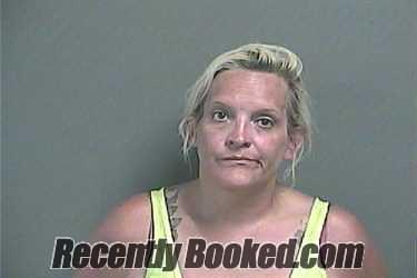 Lacee N Davis Mugshot & Arrest Info | Knox County, IN