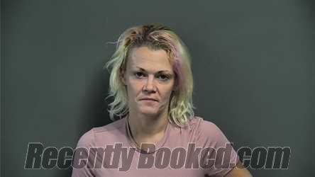 Recent Booking / Mugshot for CAROLYN RENAE FINDLEY in Knox County, Indiana