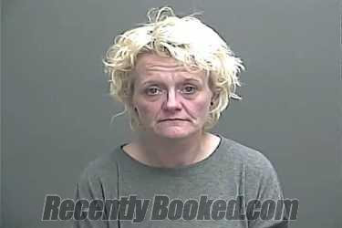 Recent Booking / Mugshot for AMBER RENE JOANNE HATTON in Knox County ...