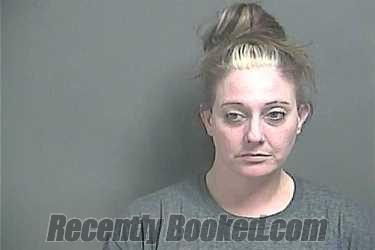 Recent Booking / Mugshot for AUDRA RENEE SEALS in Knox County, Indiana