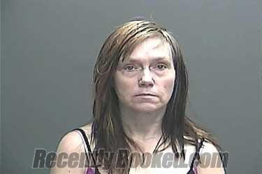 Recent Booking / Mugshot for BRANDY KING in Knox County, Indiana
