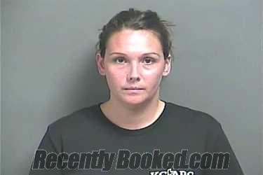 Recent Booking / Mugshot for BRANDI NICOLE PETELLE in Knox County, Indiana