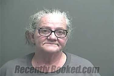 Recent Booking / Mugshot for GINA BABETTA SCOTT in Knox County, Indiana