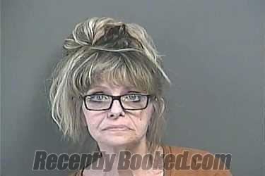 Recent Booking / Mugshot for SHEILA RAE HAWKINS in Knox County, Indiana