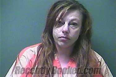 Recent Booking / Mugshot for AMANDA T MATYAS in La Porte County, Indiana