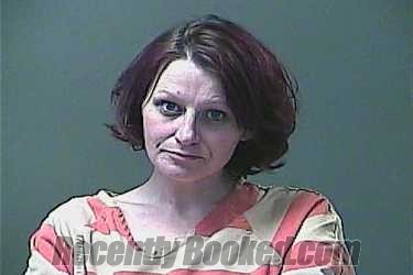 Recent Booking / Mugshot for AMANDA L ROBERTS in La Porte County, Indiana