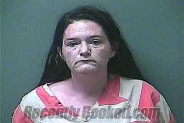 Recent Booking / Mugshot for AMBER N RHOADS in La Porte County, Indiana