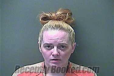 Recent Booking / Mugshot for AMANDA MAREE SAYGER in La Porte County ...