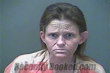 BRENDA KATHELIN REESE Arrest Record & Booking Info – La Porte County ...