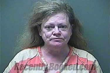 Recent Booking / Mugshot for CARLA J BIDDLE in La Porte County, Indiana