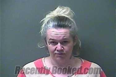 Recent Booking / Mugshot for CRYSTAL M MILLER in La Porte County, Indiana
