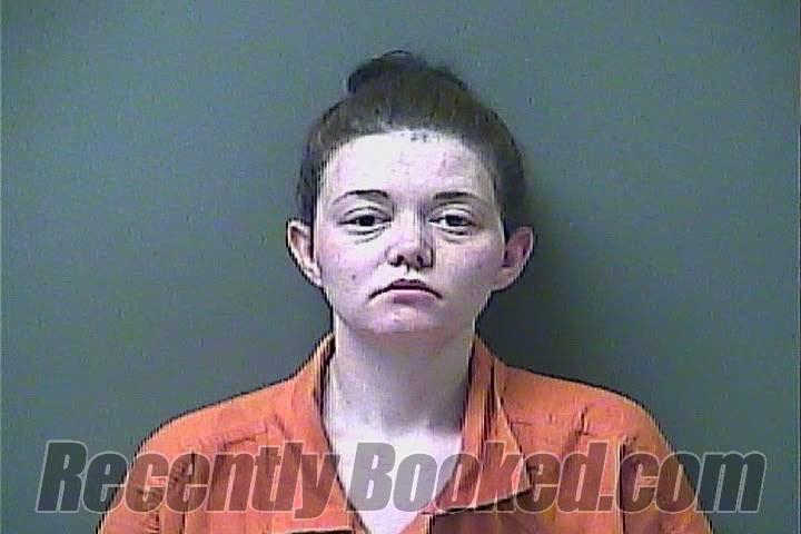 Recent Booking / Mugshot for DANA R REILLY in La Porte County, Indiana