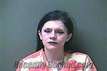 Recent Booking / Mugshot for HAILEE ELAINE MCCANN in La Porte County ...