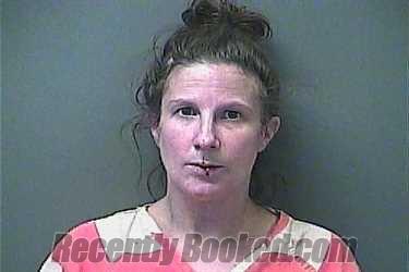 Recent Booking / Mugshot for JESSICA L DITTMER in La Porte County, Indiana