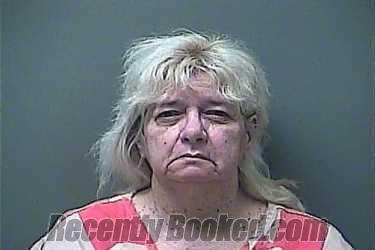 Recent Booking / Mugshot for PATRICIA A HARRISON in La Porte County ...