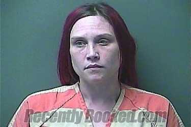 Recent Booking / Mugshot for RACHELLE M HICKS in La Porte County, Indiana