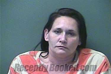 Rachel Marie Johnson Mugshot & Arrest Info | La Porte County, IN