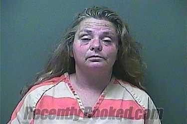 Recent Booking / Mugshot for SUSAN A BORMAN in La Porte County, Indiana