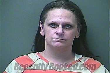 Recent Booking / Mugshot for SARAH L HEISLER in La Porte County, Indiana